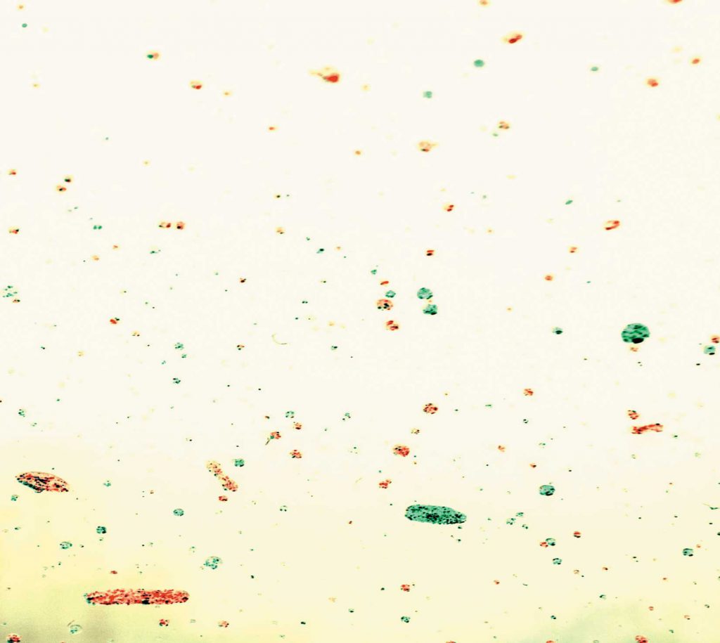 ANGELO OLIVIERI Other Colors - Aut Records